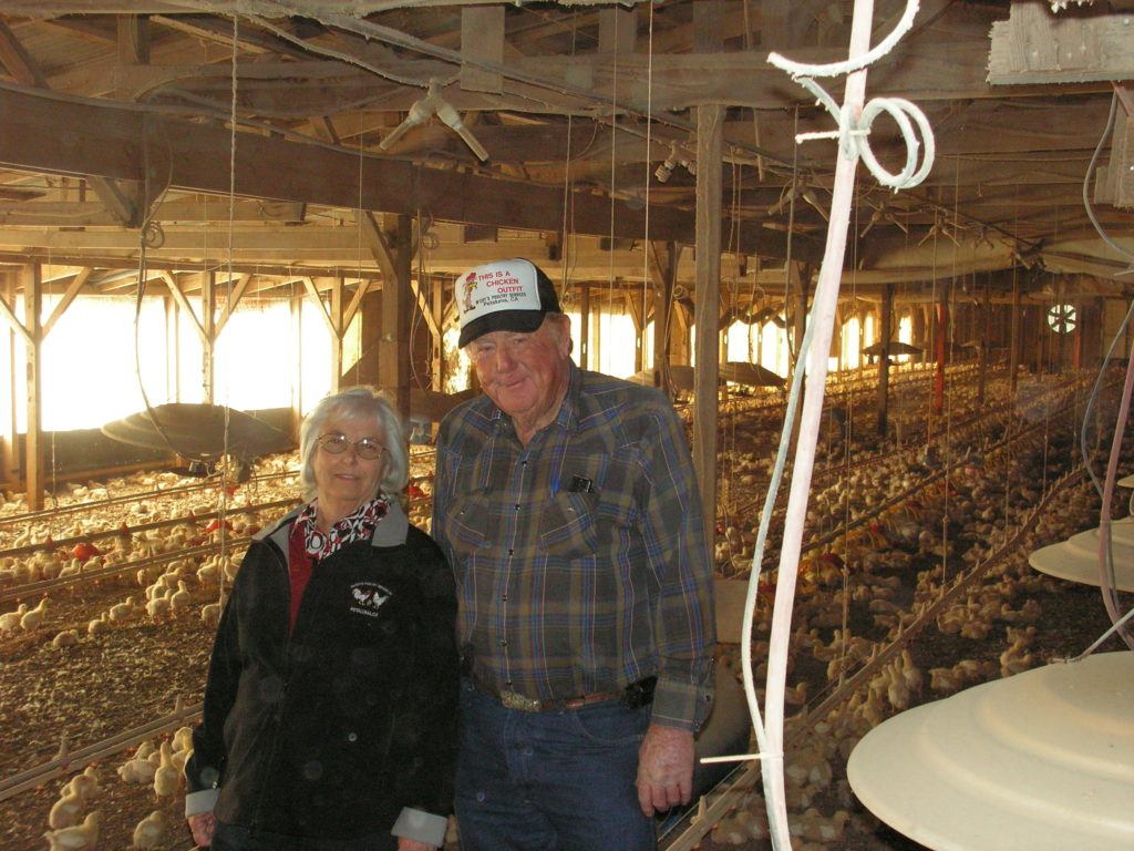 Petaluma Poultry - Oliver's Markets