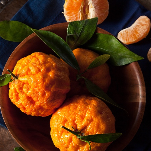 Winter Citrus in the Lime-light! - Oliver's Markets